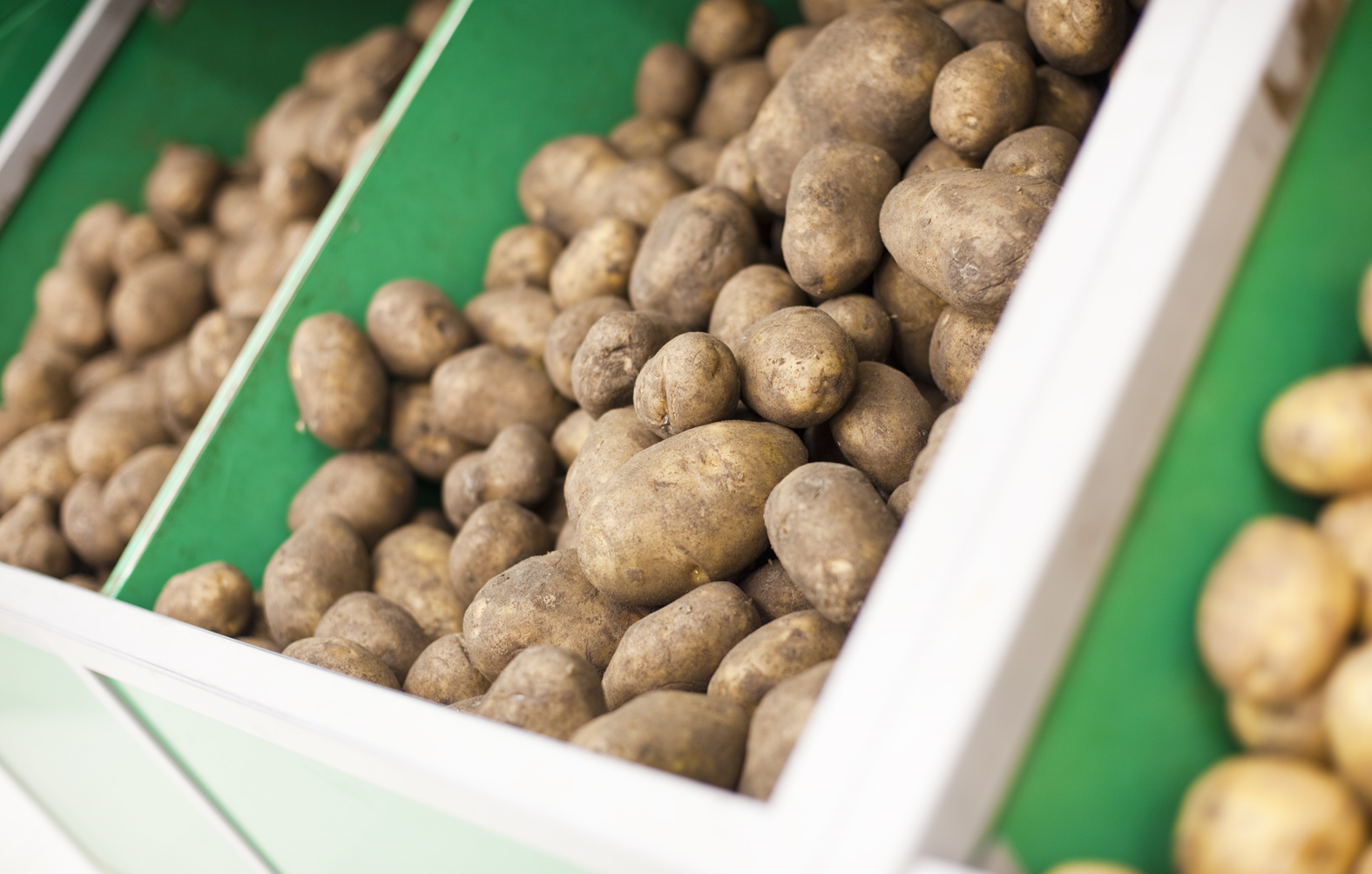 Kartul on teine leib* | The Baltic Guide OnlineThe Baltic Guide Online