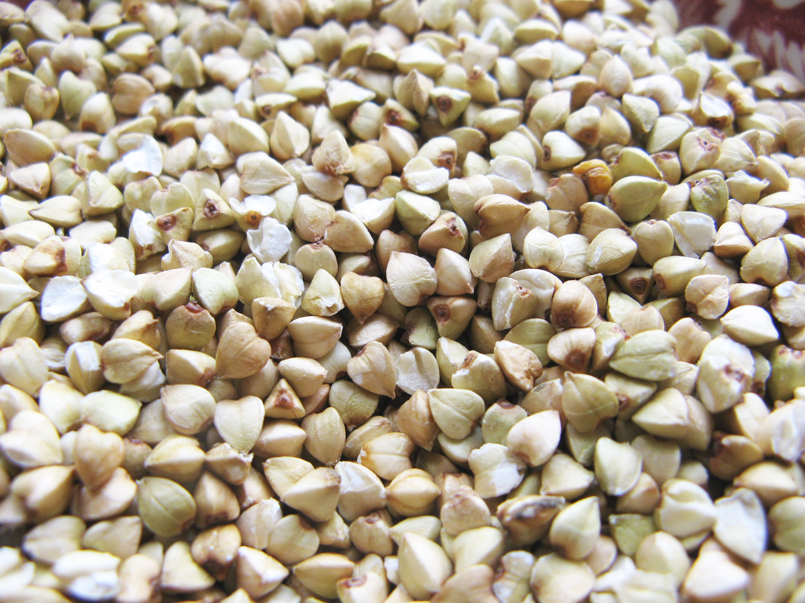 Tattaria pöytään - The Baltic Guide Online