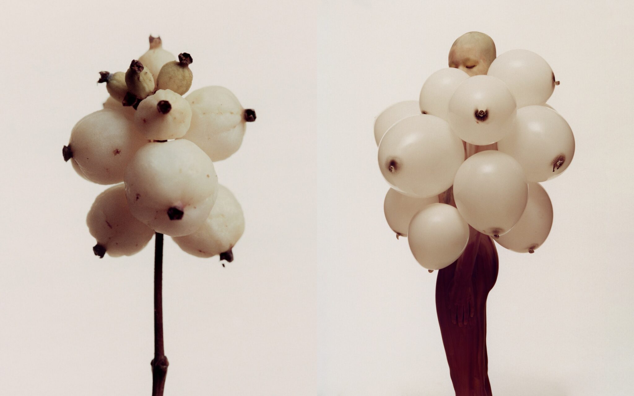 An exhibition by photographer Cho Gi-Seok’s has opened at Fotografiska ...