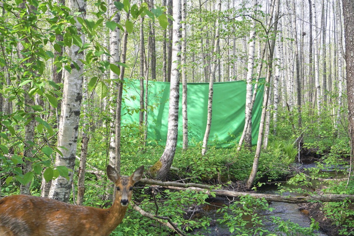 Taavi Suisalu’s solo exhibition “Attention Figures” opens at EKKM today ...