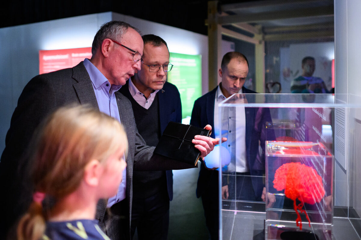 New interactive exhibition about the brain opens at Ahhaa Science ...