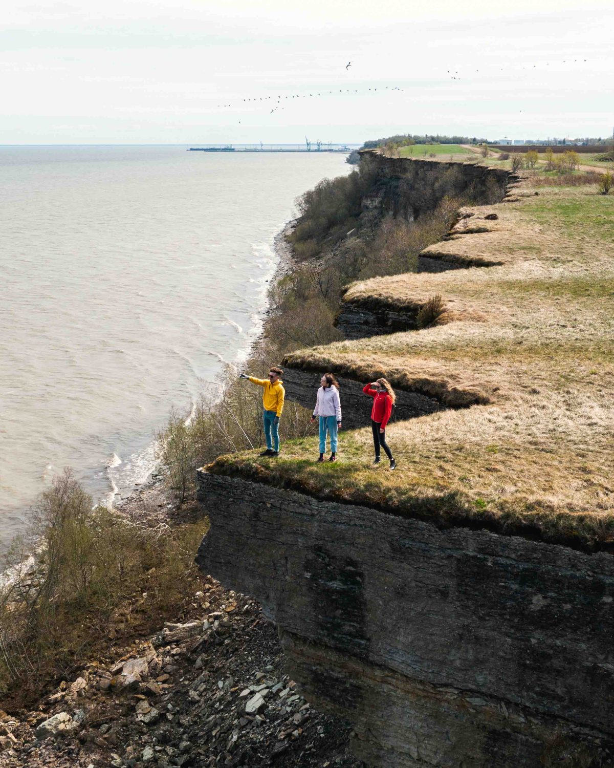 Estonia’s national symbols also tell us something about the nature of ...