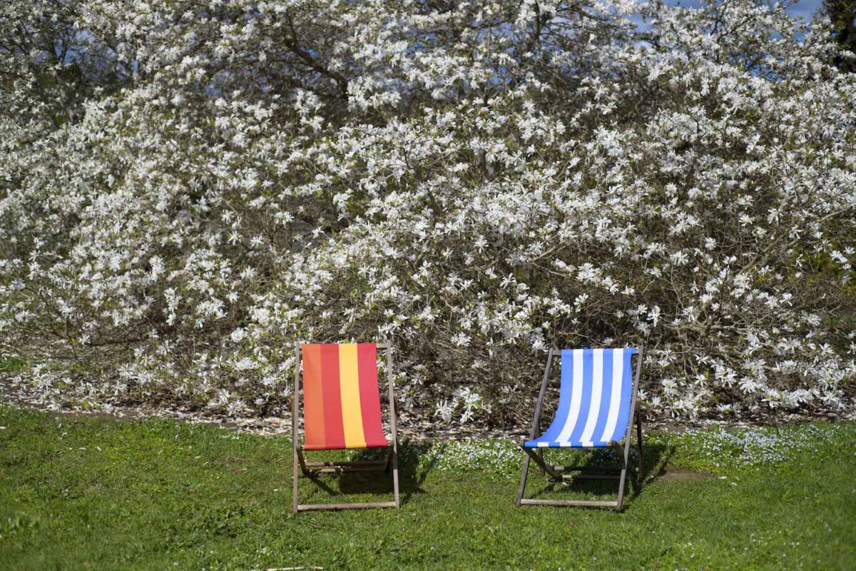 Today, Tallinn Botanic Garden introduces spring flowers with special ...