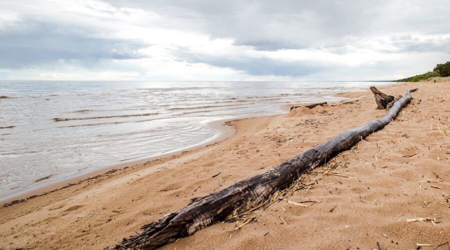 Homepage - The Baltic Guide Online